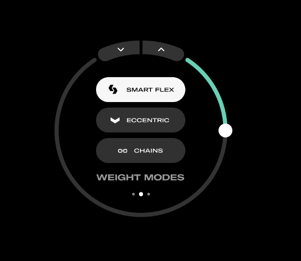 Intelligence: Dynamic Weight Modes