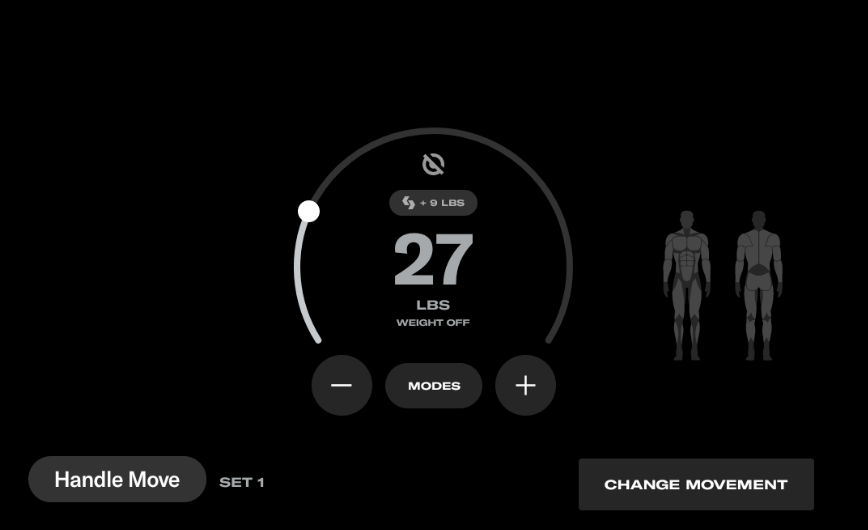 Intelligence: Dynamic Weight Modes